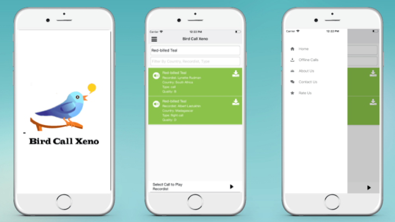 Inceptive Technologies – App Development Company – App Development ...